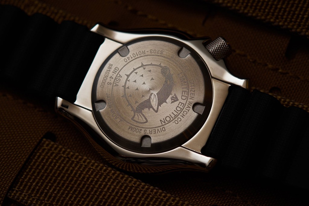 Introducing the Citizen Promaster Asia Limited Edition Automatic Diver ...