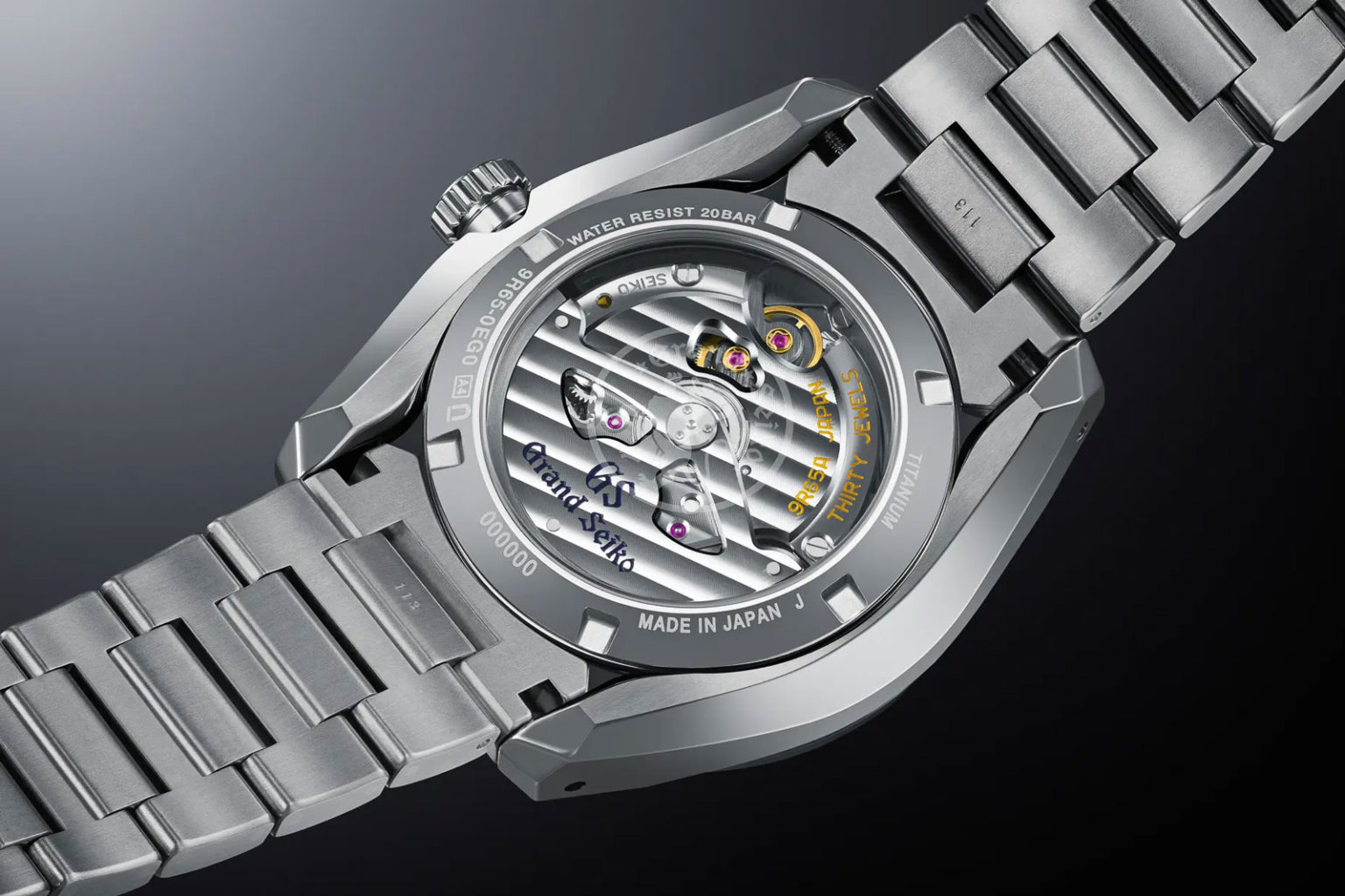 A Lion’s-Mane Dial for the Grand Seiko Sport Spring Drive | SJX Watches