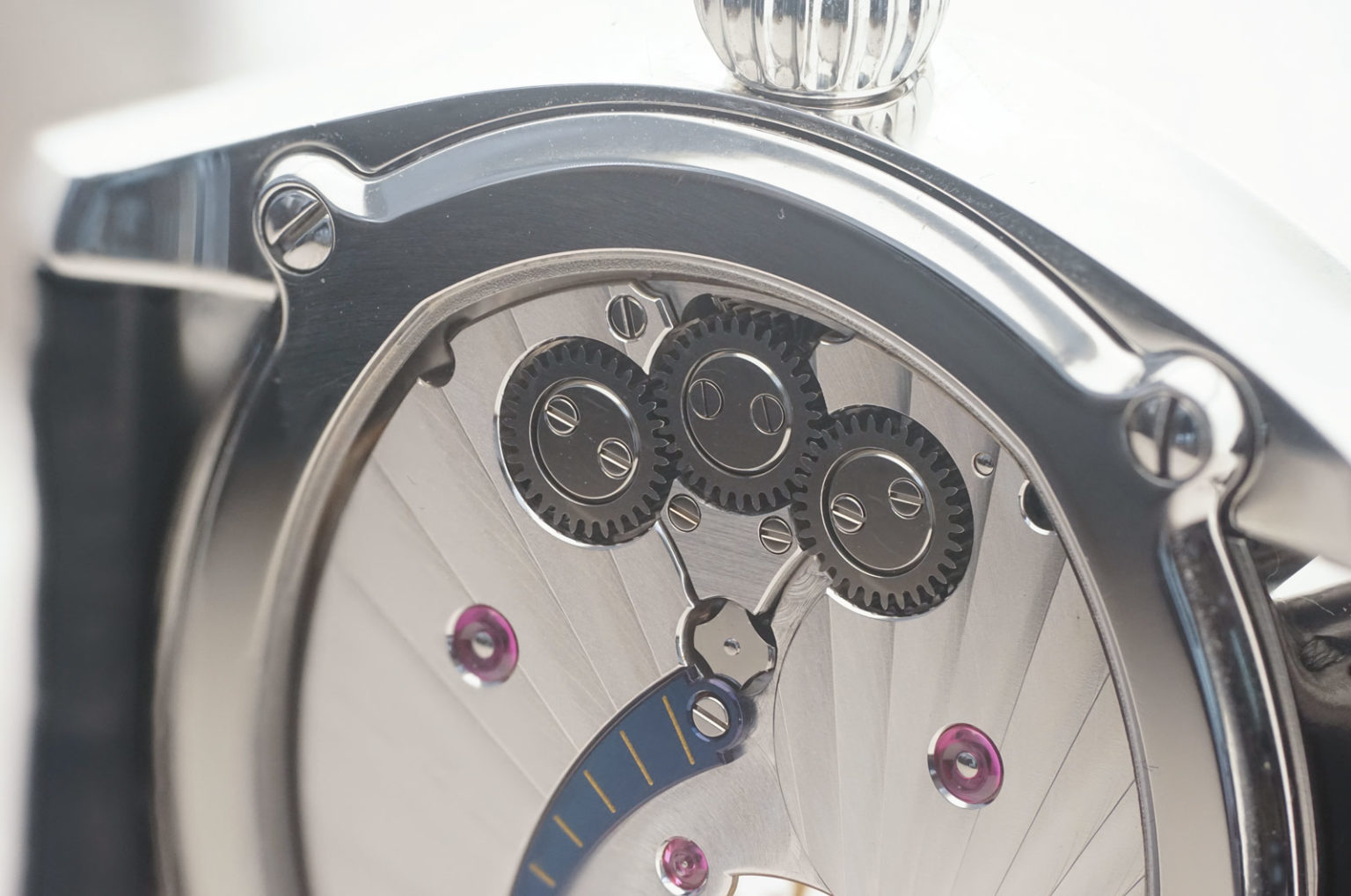 Andreas Strehler Debuts Hand Engraved Faune et Flore | SJX Watches