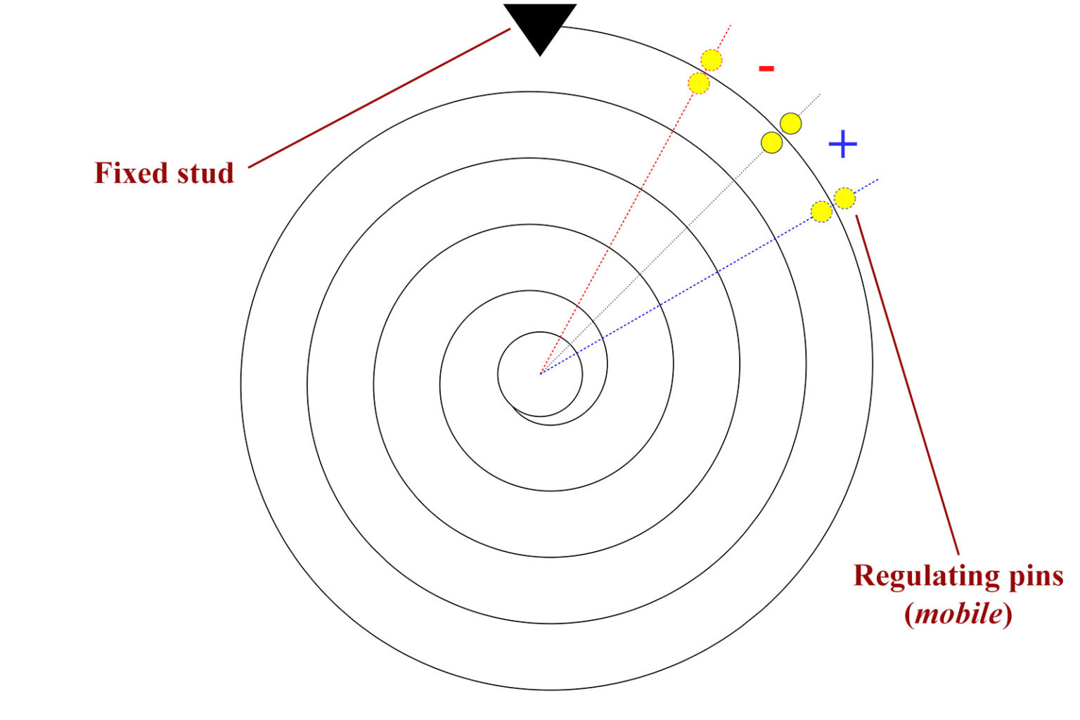 Insight: Regulating a Mechanical Watch Movement | SJX Watches