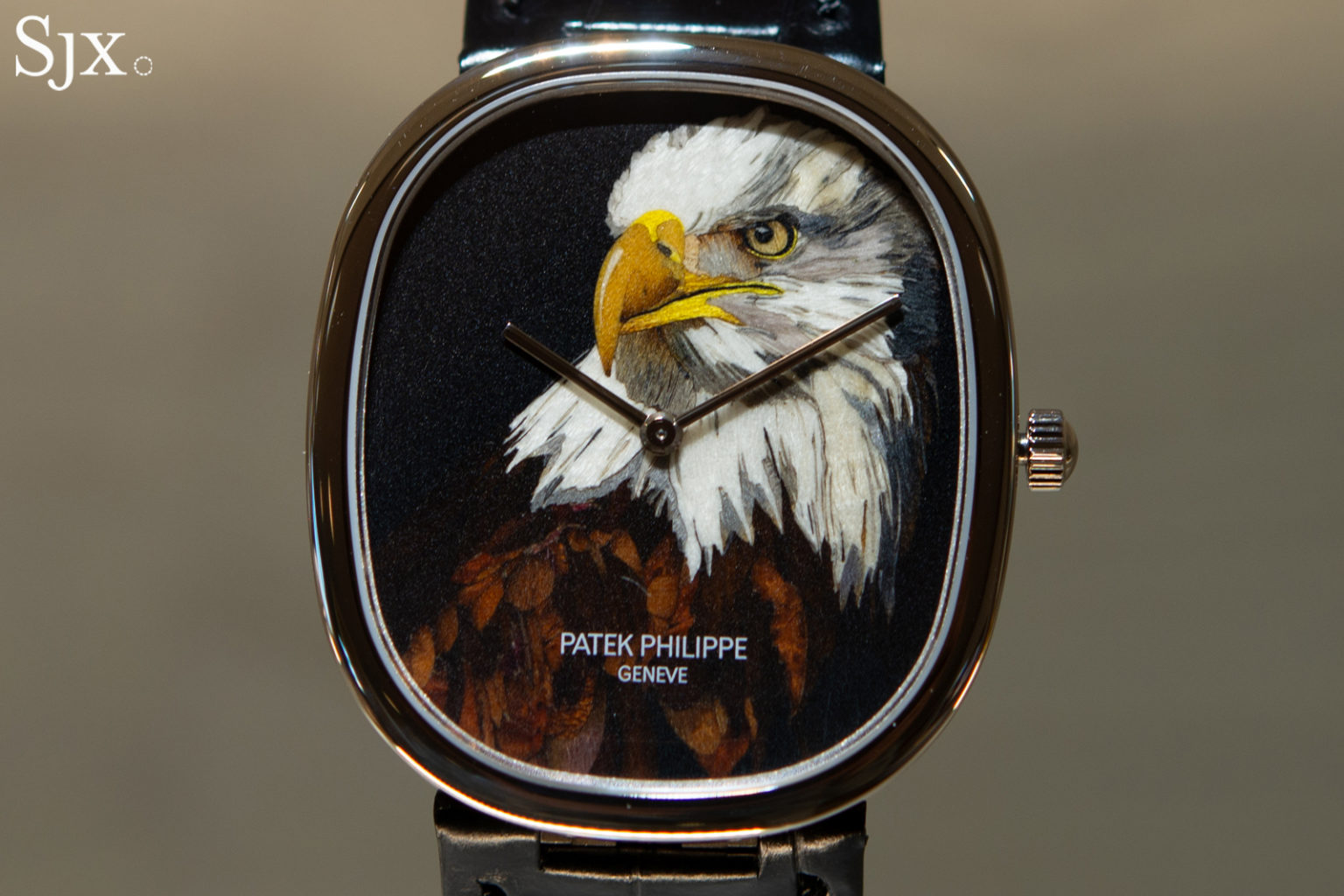 Photo Essay: Patek Philippe Gets Nostalgic with Rare Handcrafts 2025 | SJX Watches